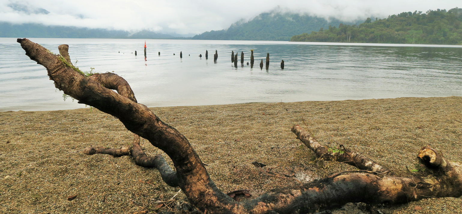 Homepage - Footsteps Walking Club | Walking Community of New Zealand